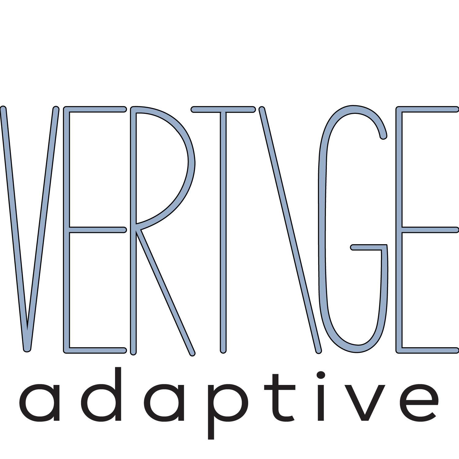 Products – Vertige Adaptive